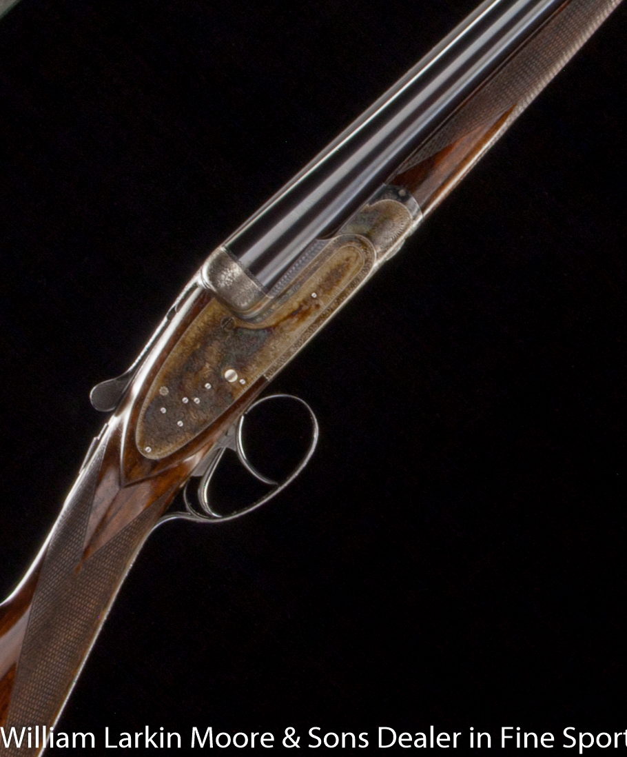 New Arrivals | William Larkin Moore