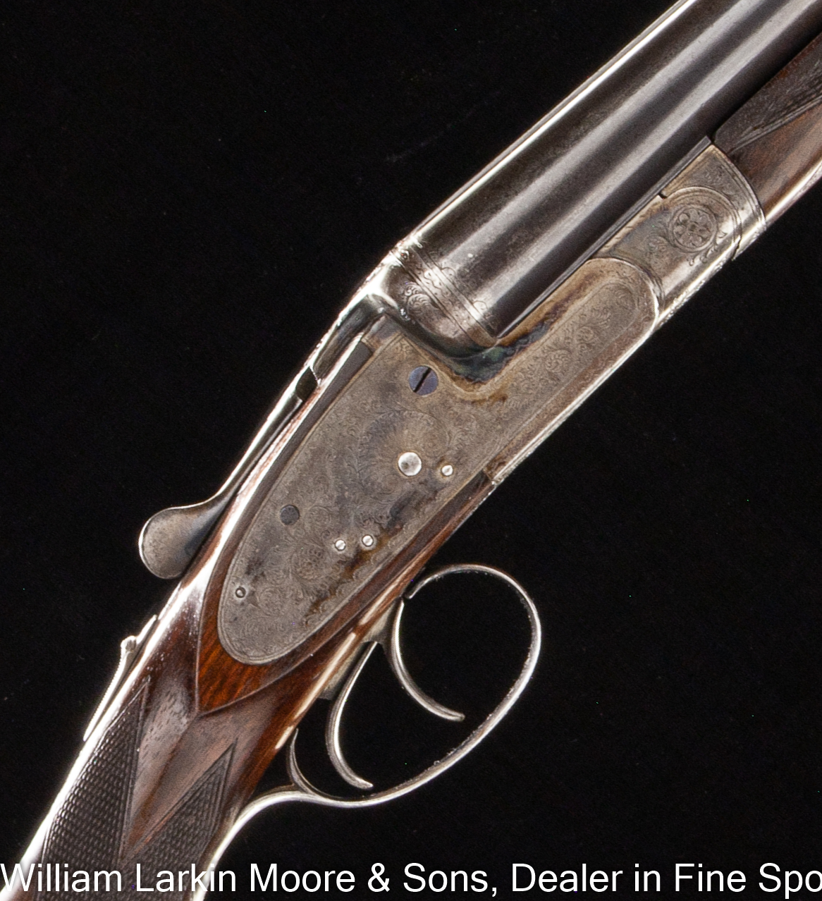 New Arrivals | William Larkin Moore