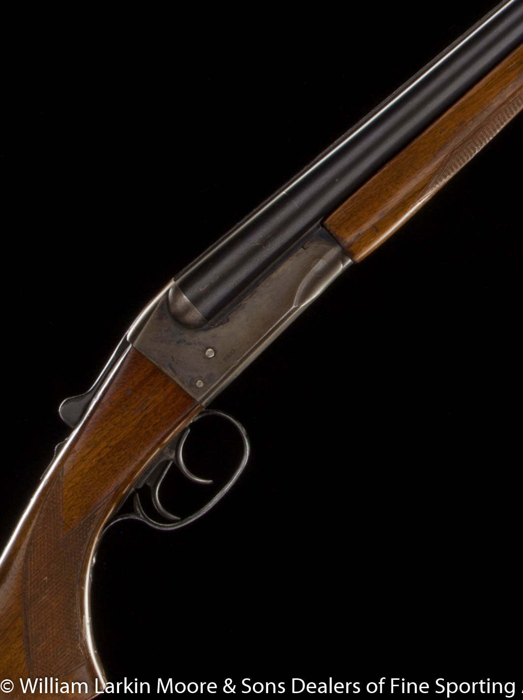 New Arrivals | William Larkin Moore