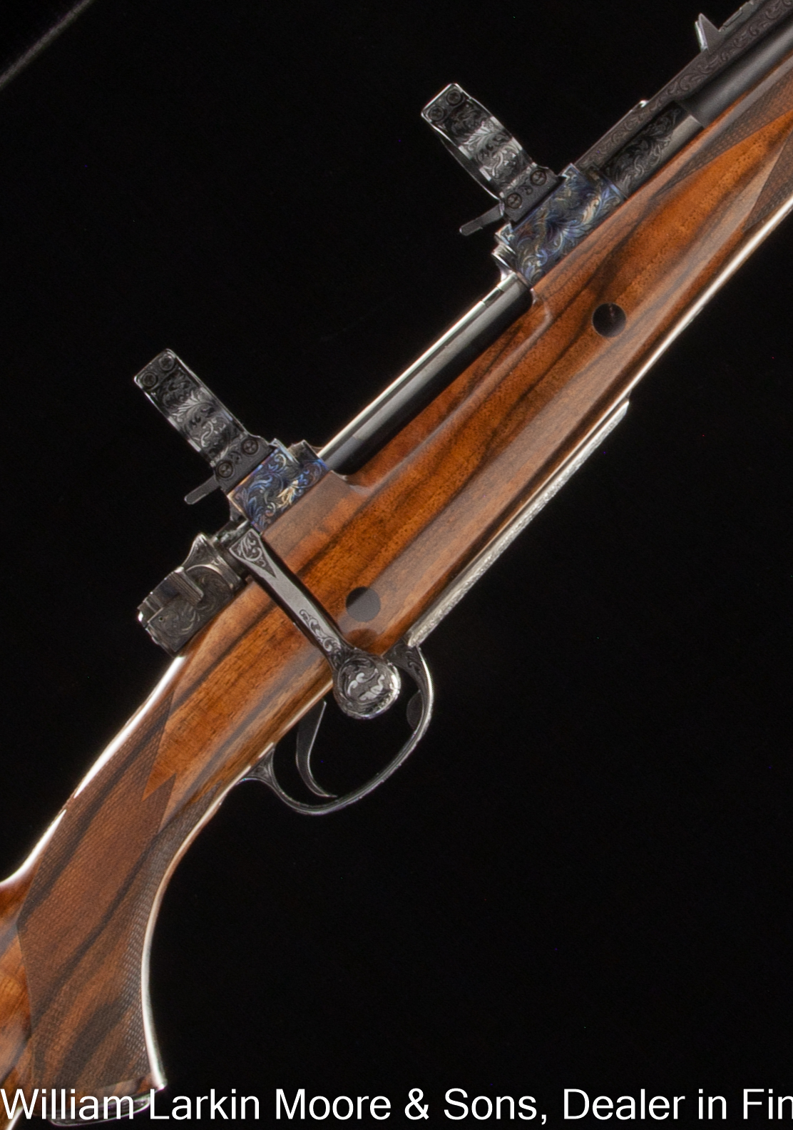 New Arrivals | William Larkin Moore