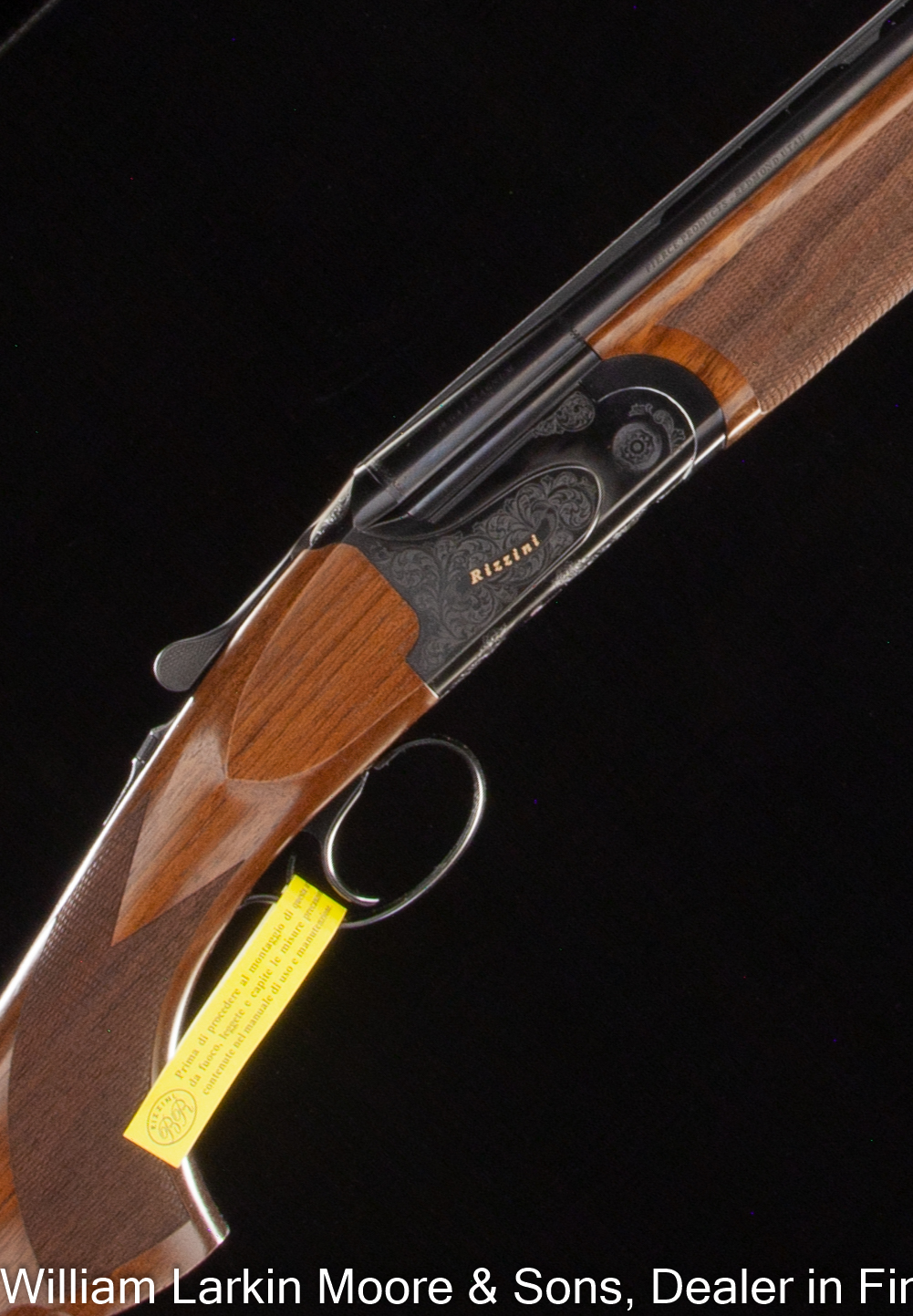 New Arrivals | William Larkin Moore