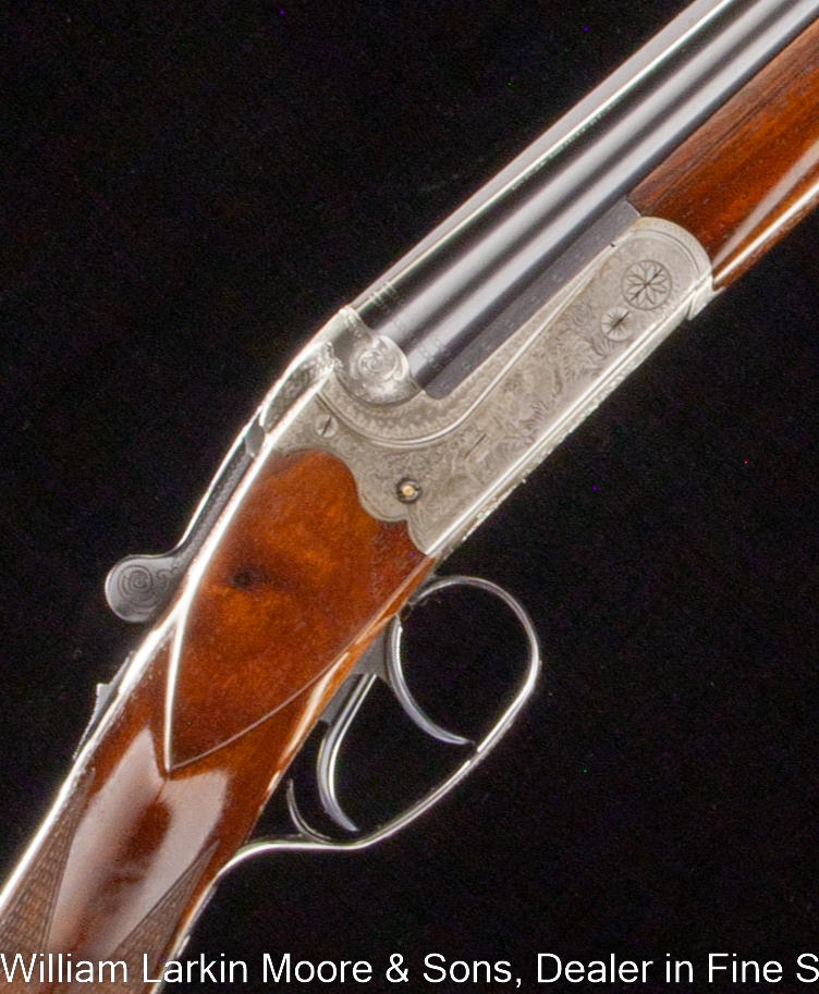 New Arrivals | William Larkin Moore