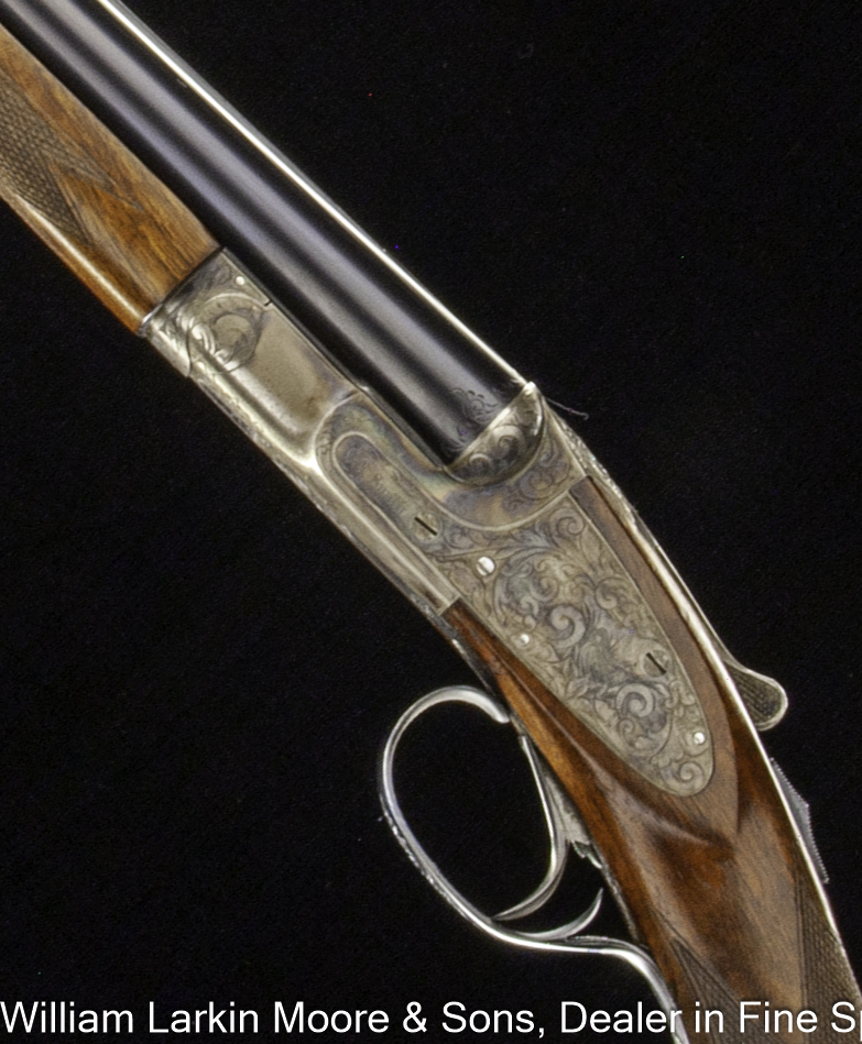 New Arrivals | William Larkin Moore