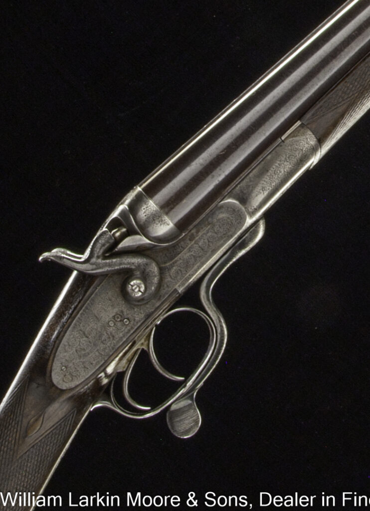 New Arrivals | William Larkin Moore