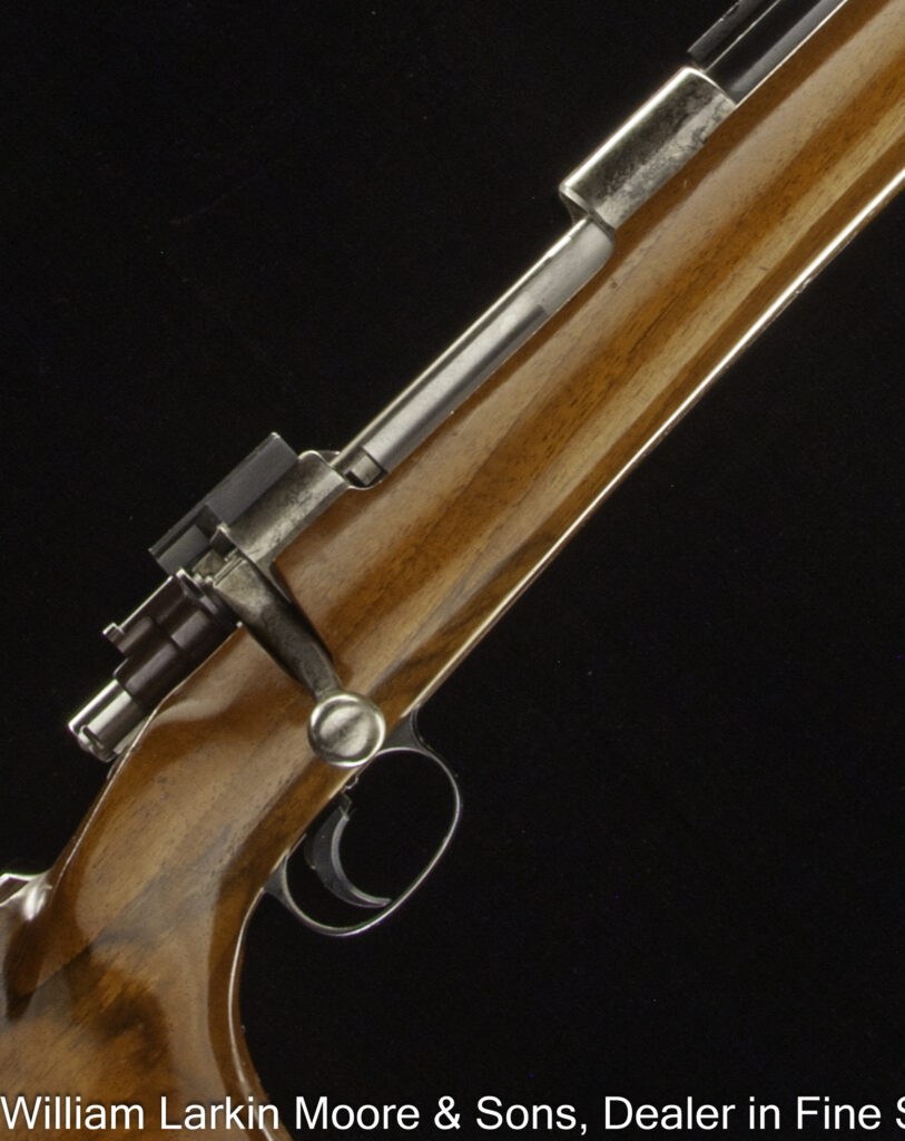 New Arrivals | William Larkin Moore